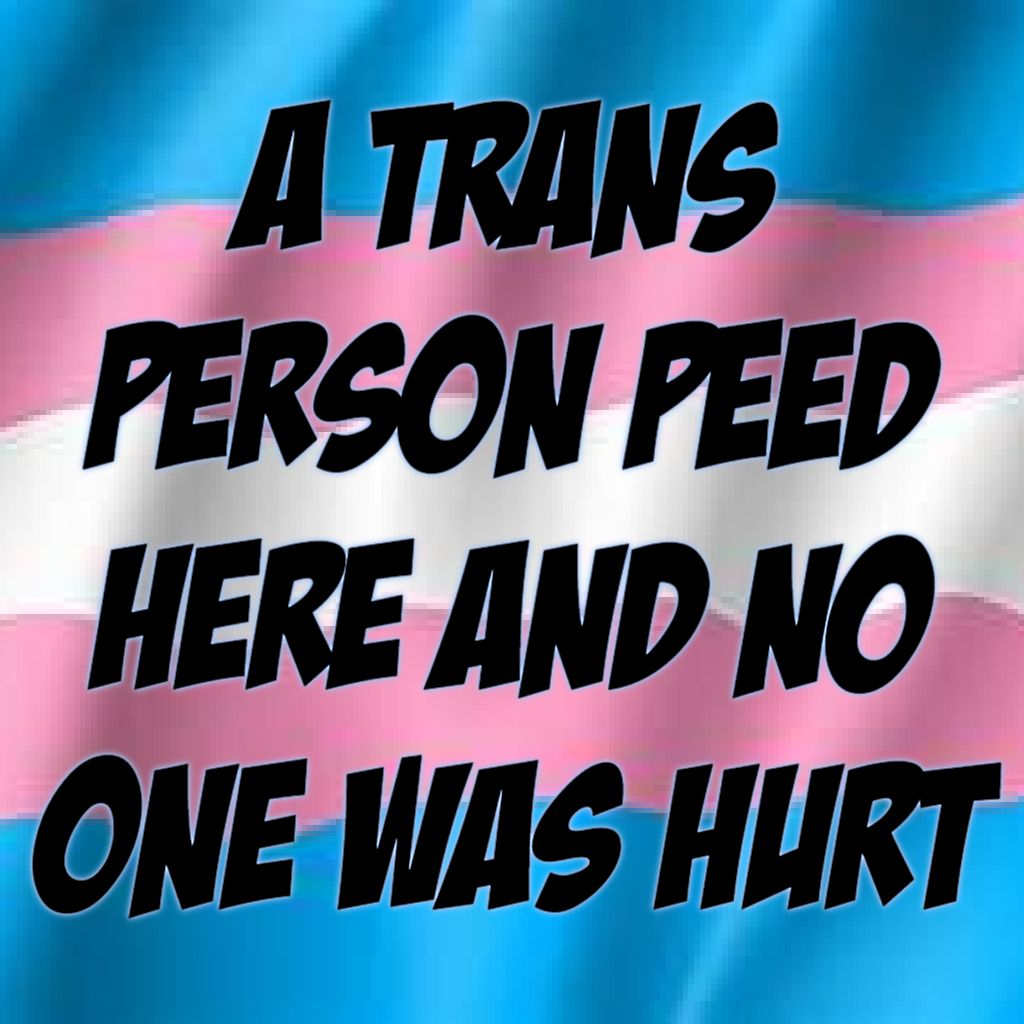 Trans Inclusion in Canadian Gendered Spaces: Law, Evidence, and the ...